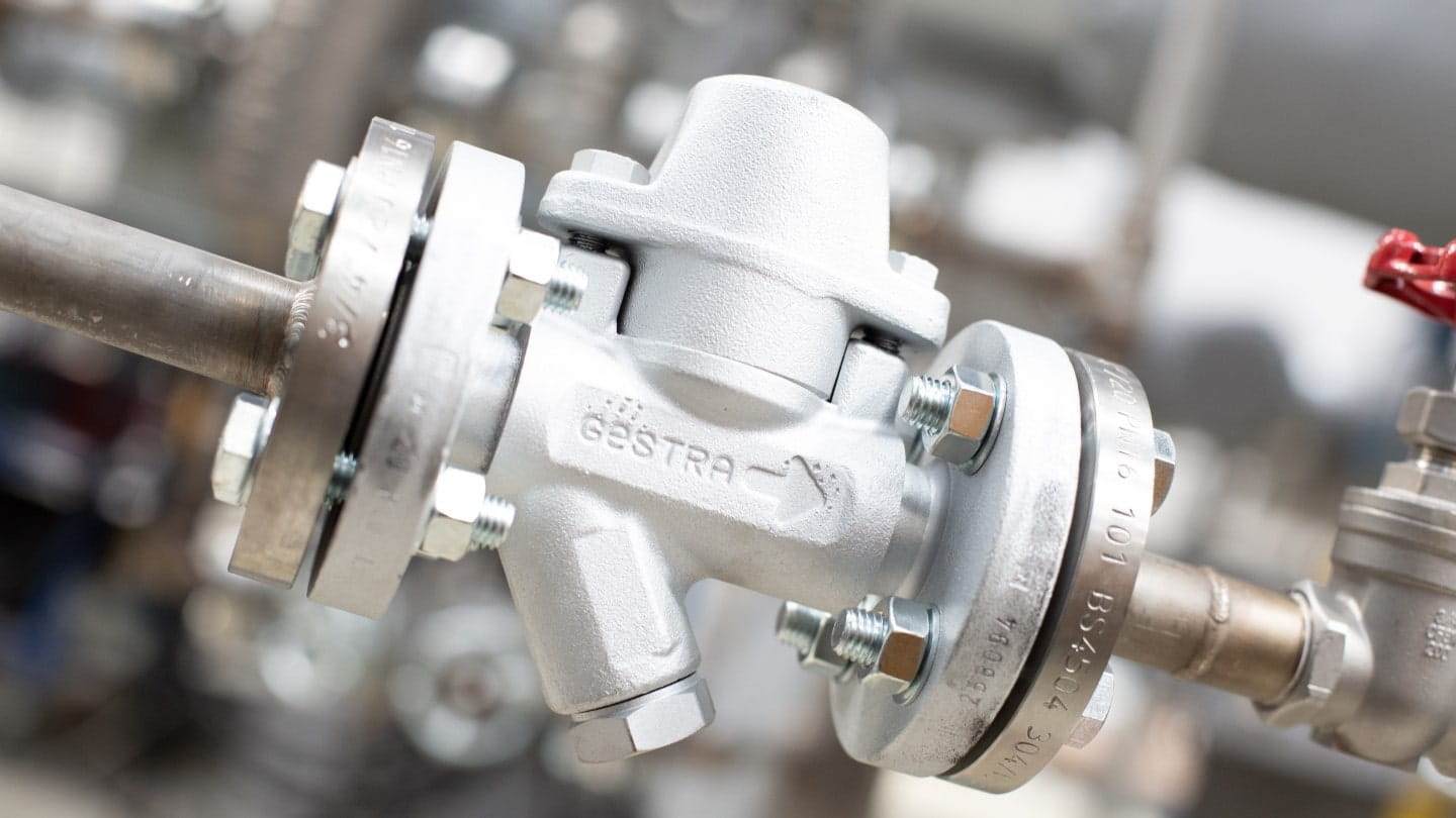 BK Thermostatic High Pressure Steam Traps - bimetallic | USA